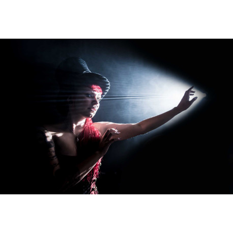 Аксесоар Spekular Spiff-y Light Blaster Creative Kit Pro Gobos 1 ...